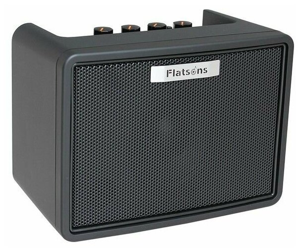 FGA-3 Гитарный комбоусилитель, 3Вт, Flatsons