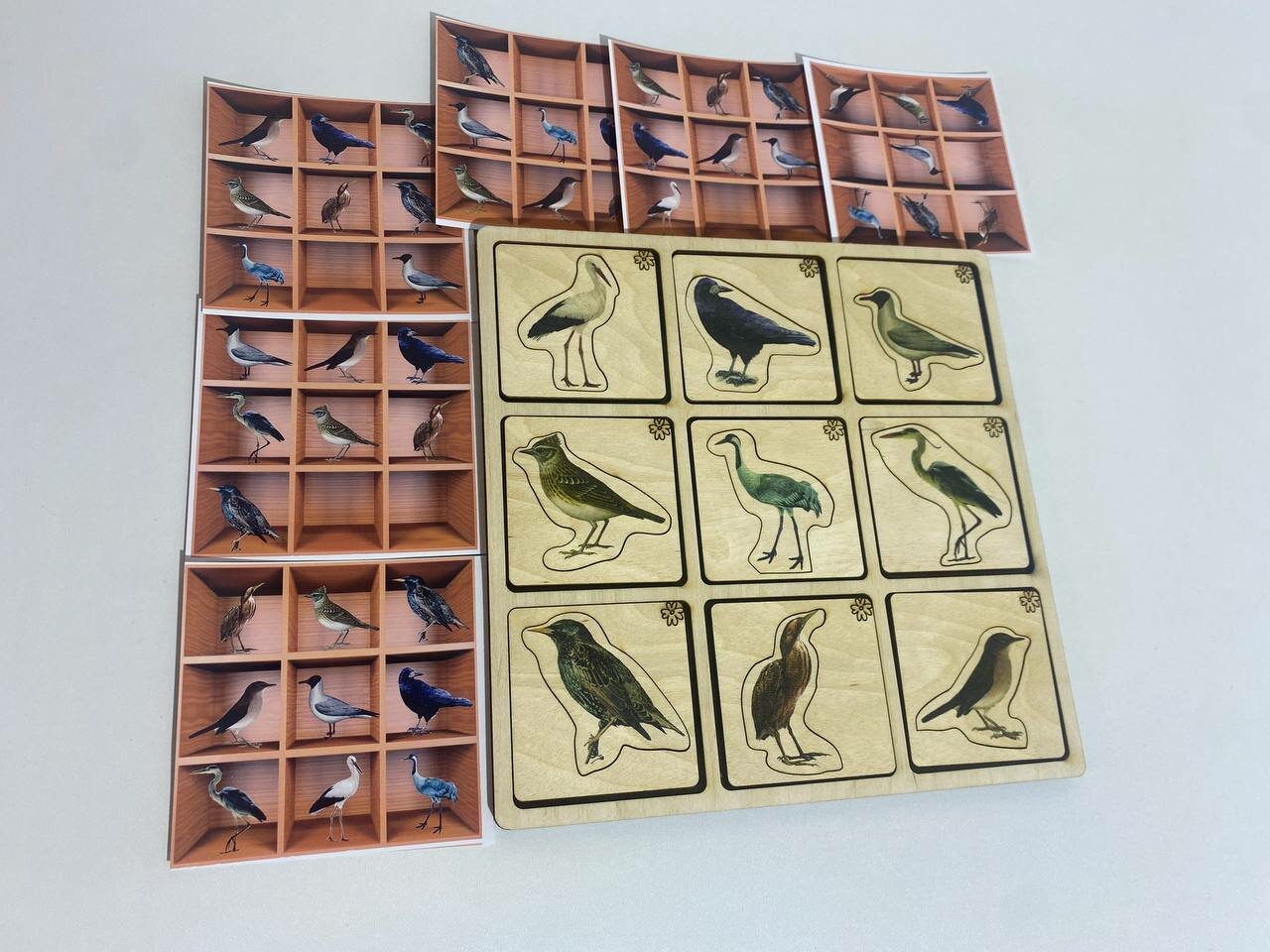 Дидактическая игра "Что(Кто) на полке?" Перелетные птицы