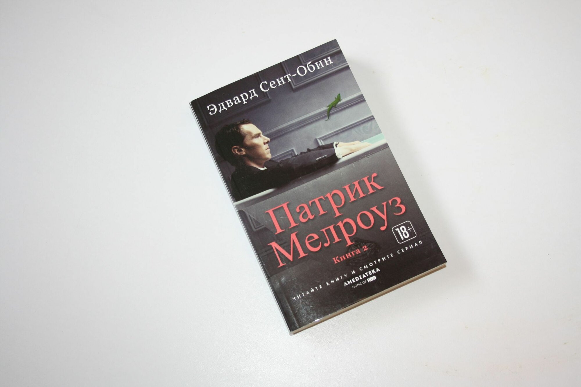 Патрик Мелроуз. Книга 2