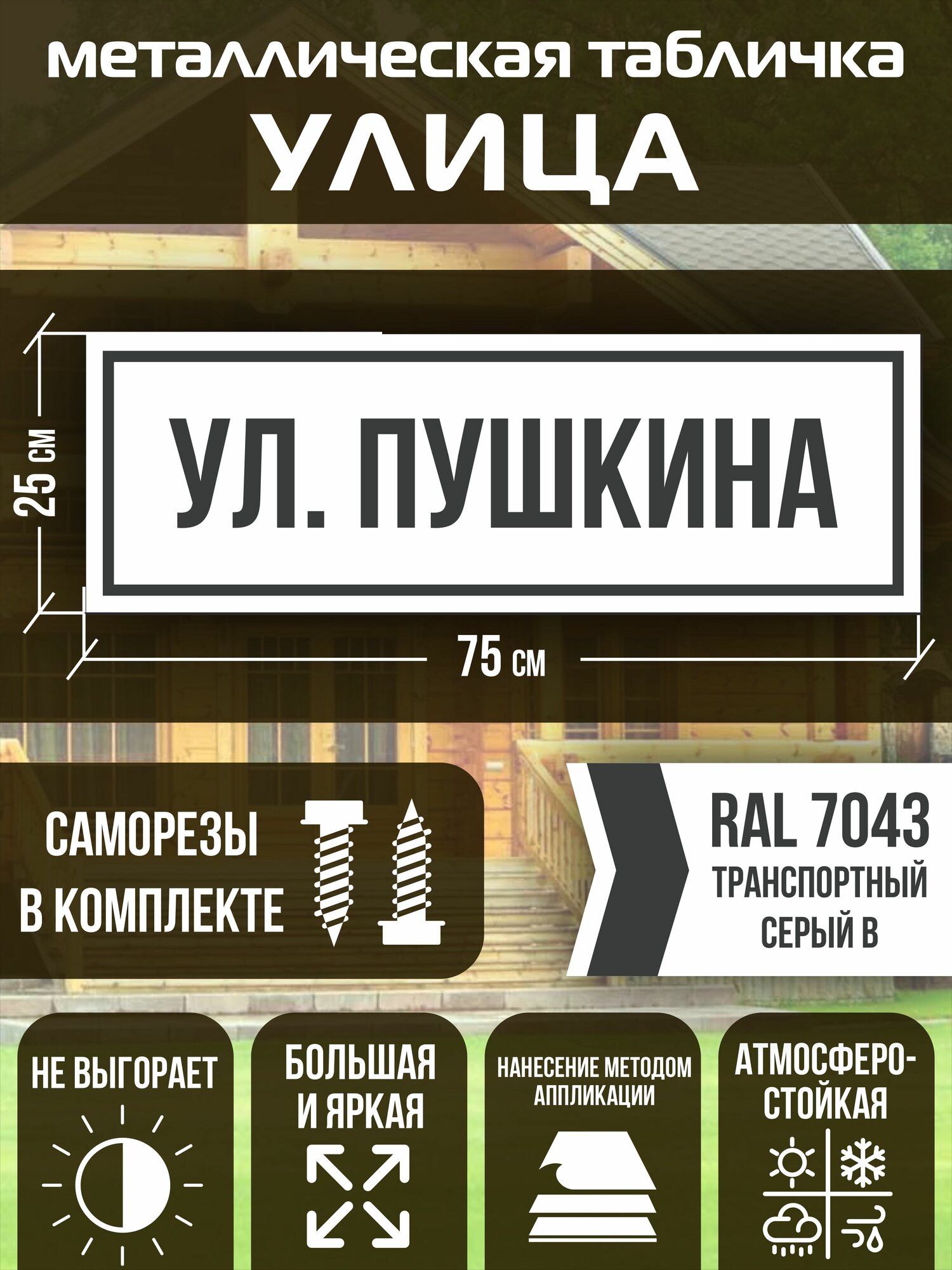 Адресная табличка на дом улица Пушкина RAL 7043 серая
