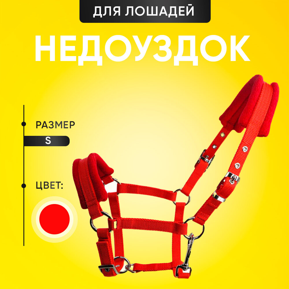 Уздечка, недоуздок для лошадей. Оборудование для верховой езды, скачек. Цвет красный. Размер S.
