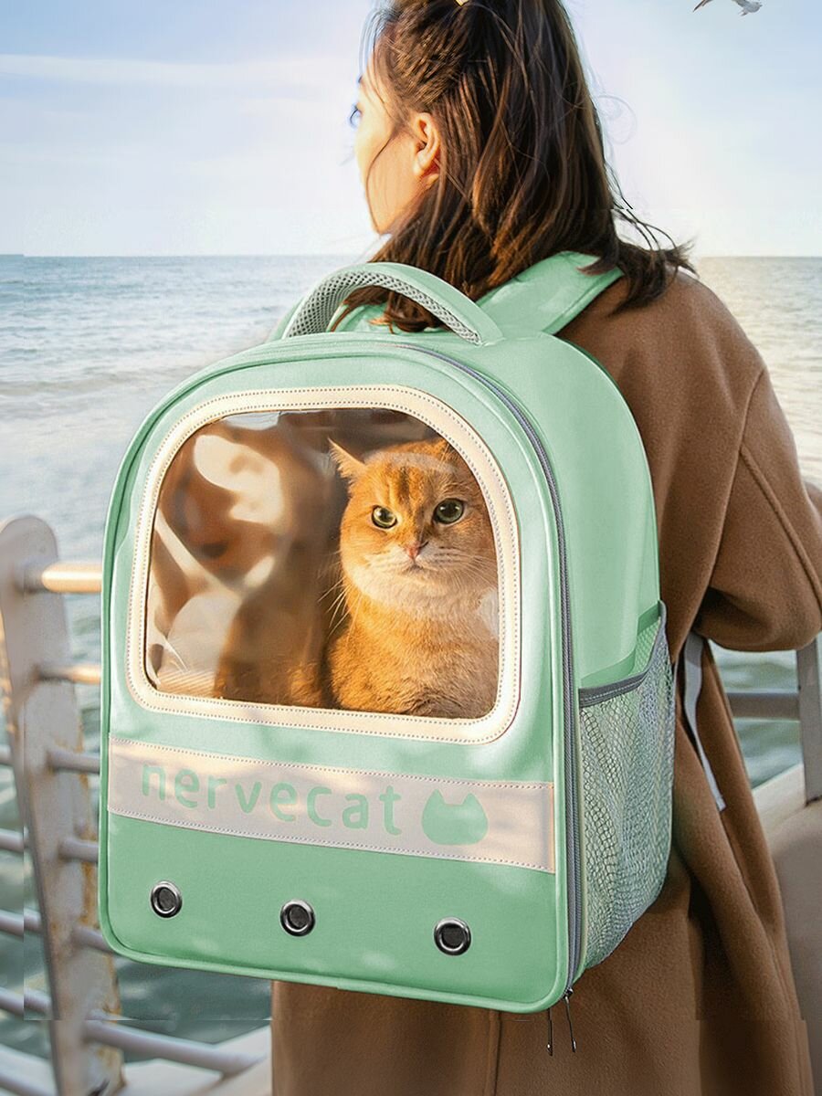 Переноска