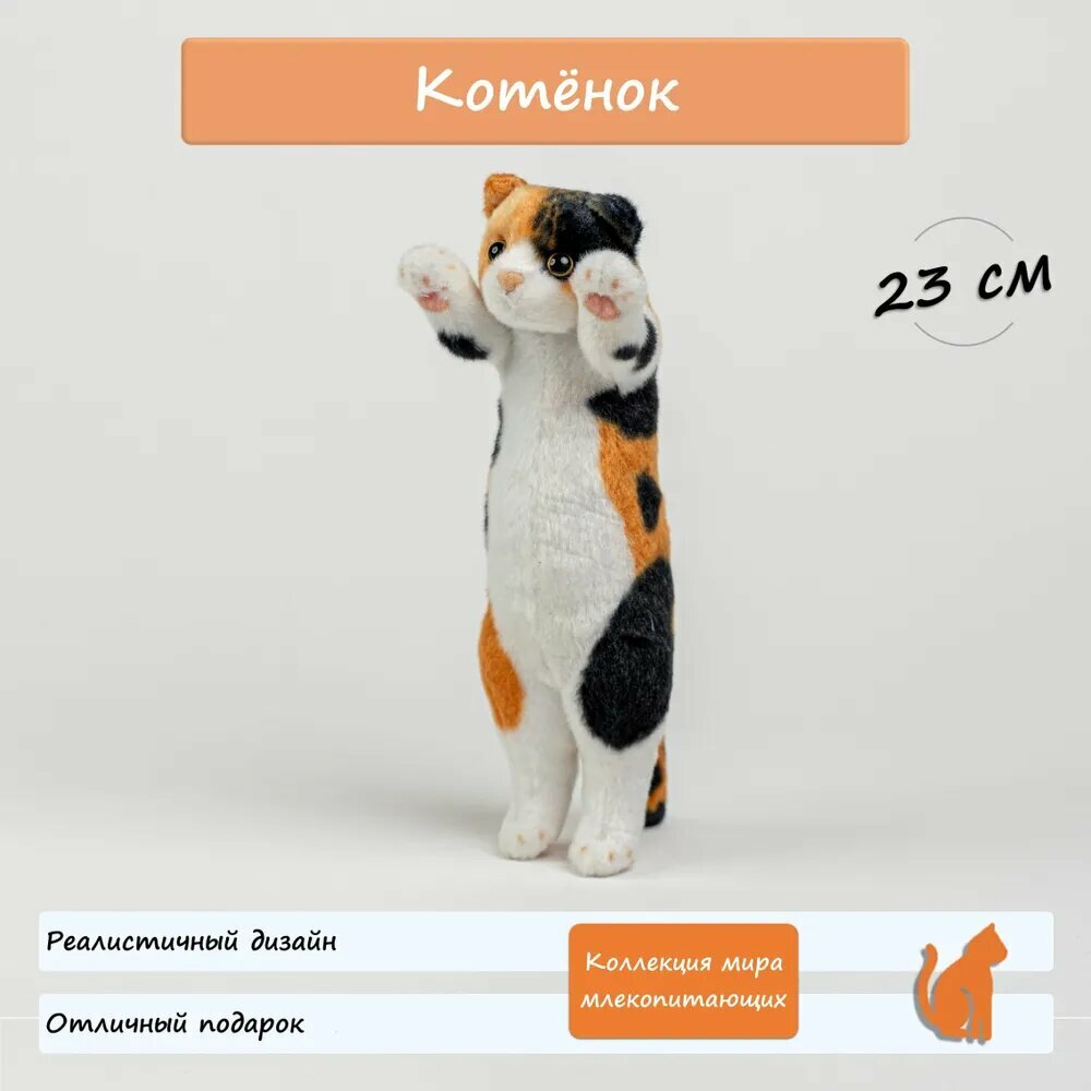 Мягкая игрушка кот, котенок, плюшевый котик, реалистичная, "АБВГДЕЙКА", 23 см