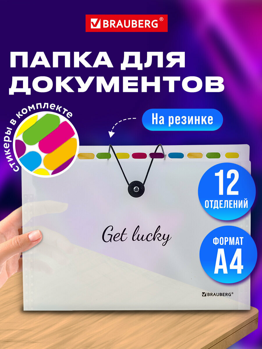 Папка-органайзер на резинке 12 отделений, Brauberg Glassy, А4, прозрачная, 271929