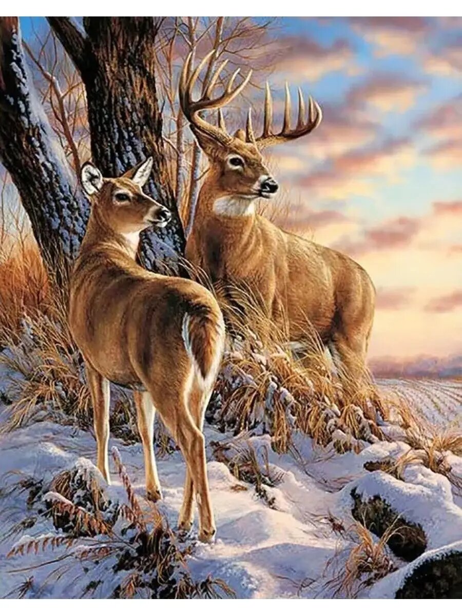 Алмазная мозаика "Олени"