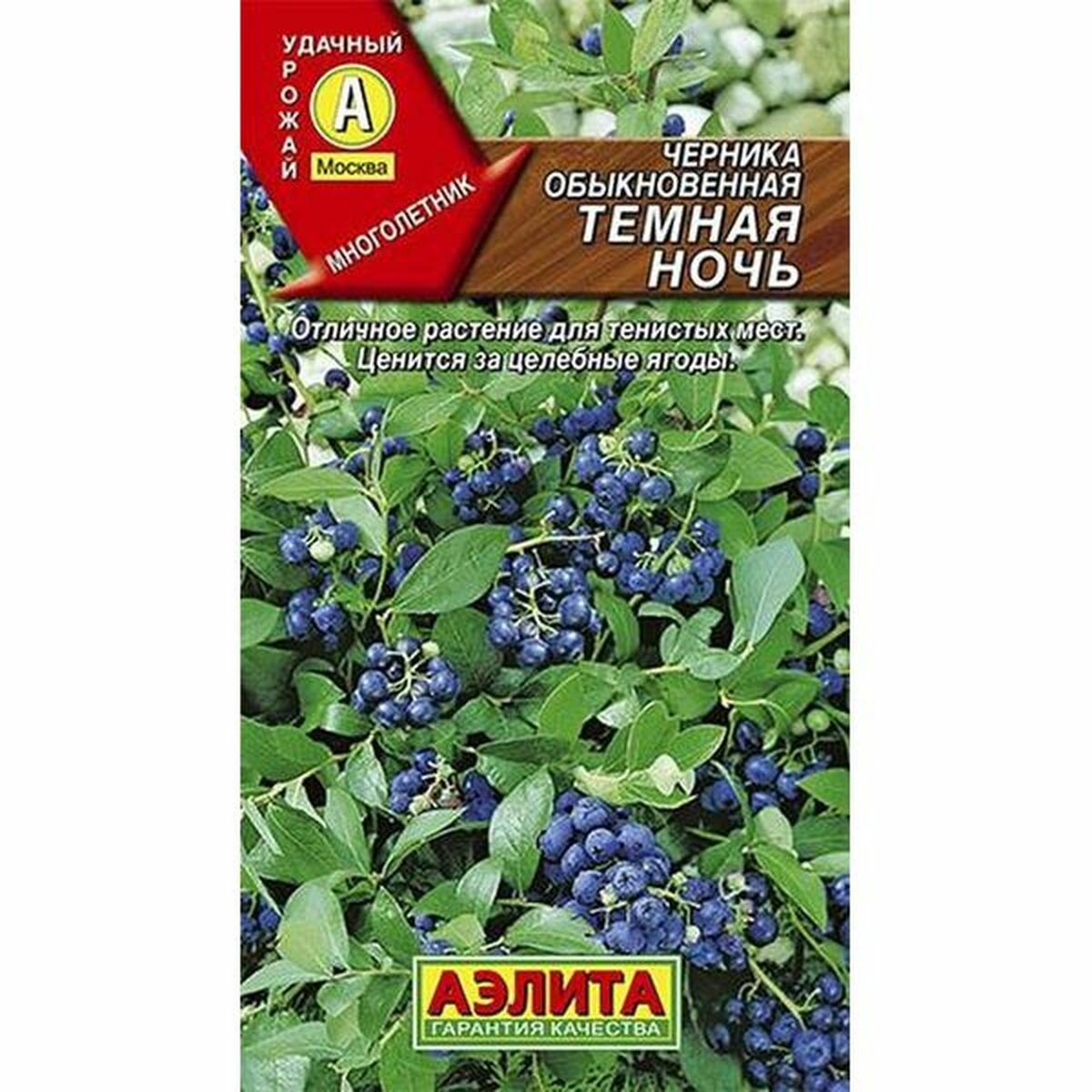 Семена Черника Темная ночь, обыкновенная, Аэлита, 1 пачка - 0.01г семян