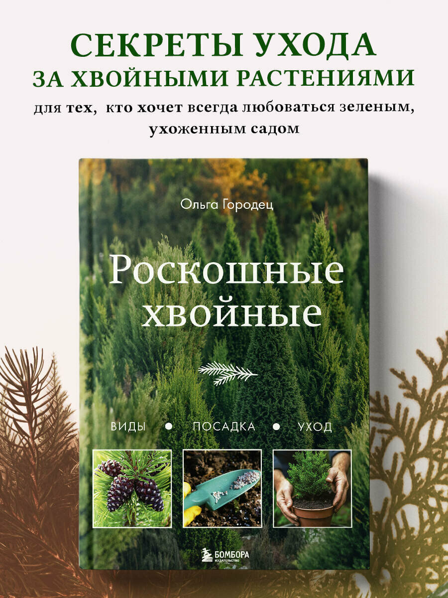 Городец О. В. Роскошные хвойные. Виды, посадка, уход