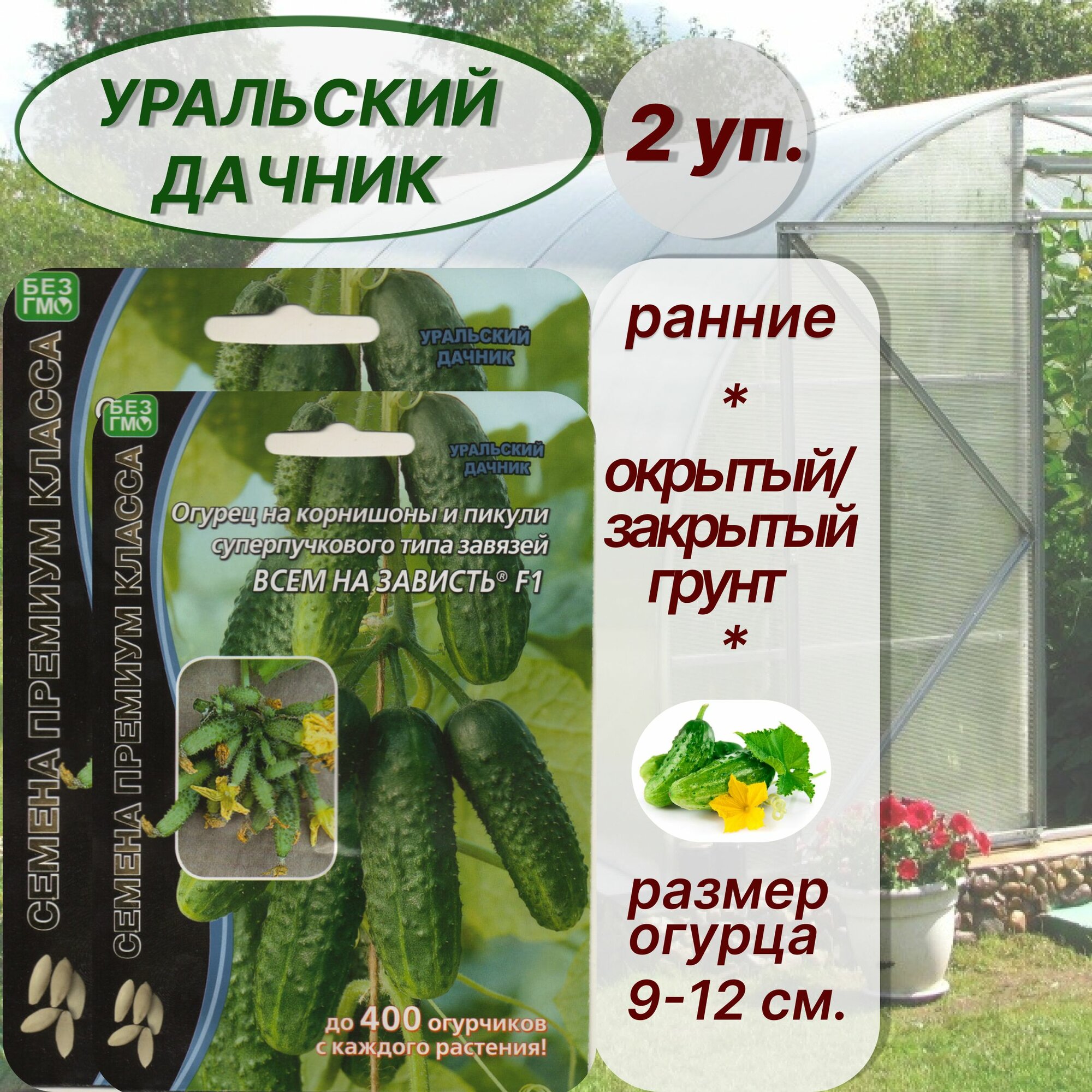 Семена Огурца "всем на зависть" F1 (2 упаковкаи)