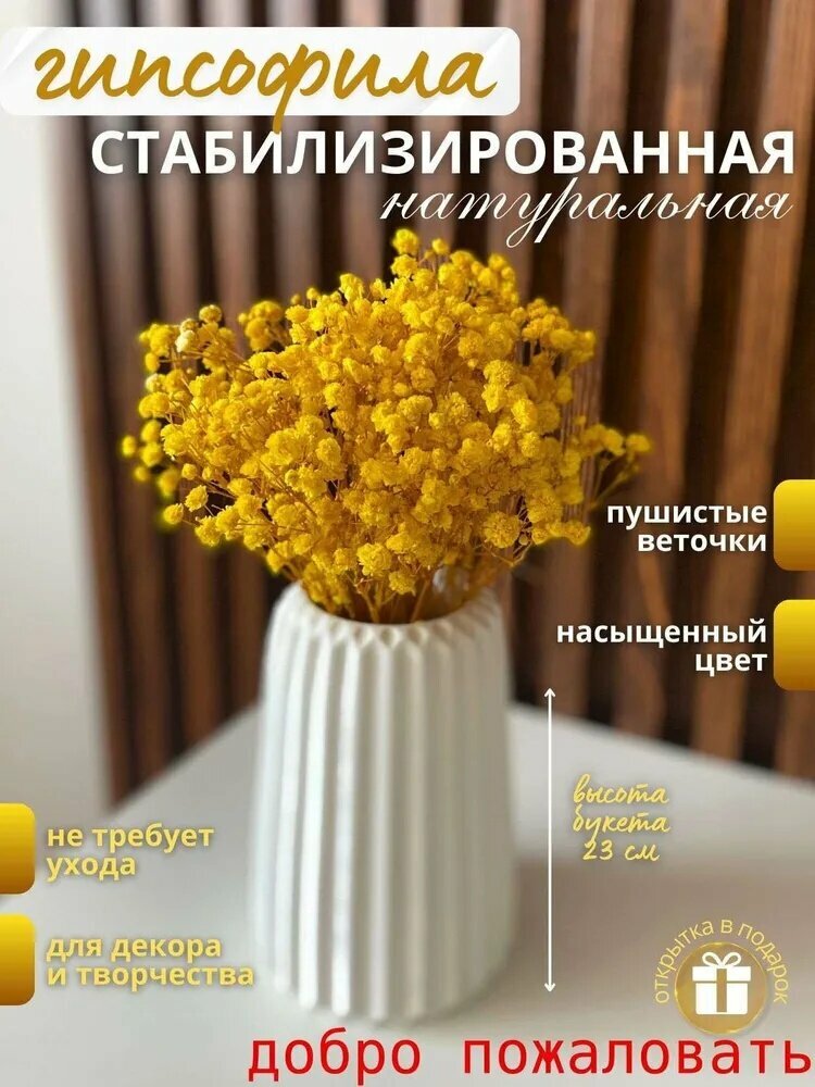 Стабилизированные цветы Гипсофила, 50 см, 30 гр, 1 шт