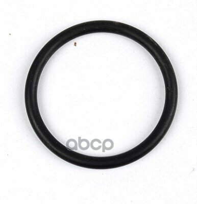 Кольцо уплотнительное корпуса термостата BSG AUTO PARTS арт. BSG30230042