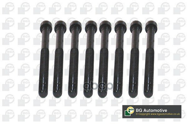 Болты ГБЦ (к-т) BMW 1.5 14-, Mini Mini Bga арт. BK5916