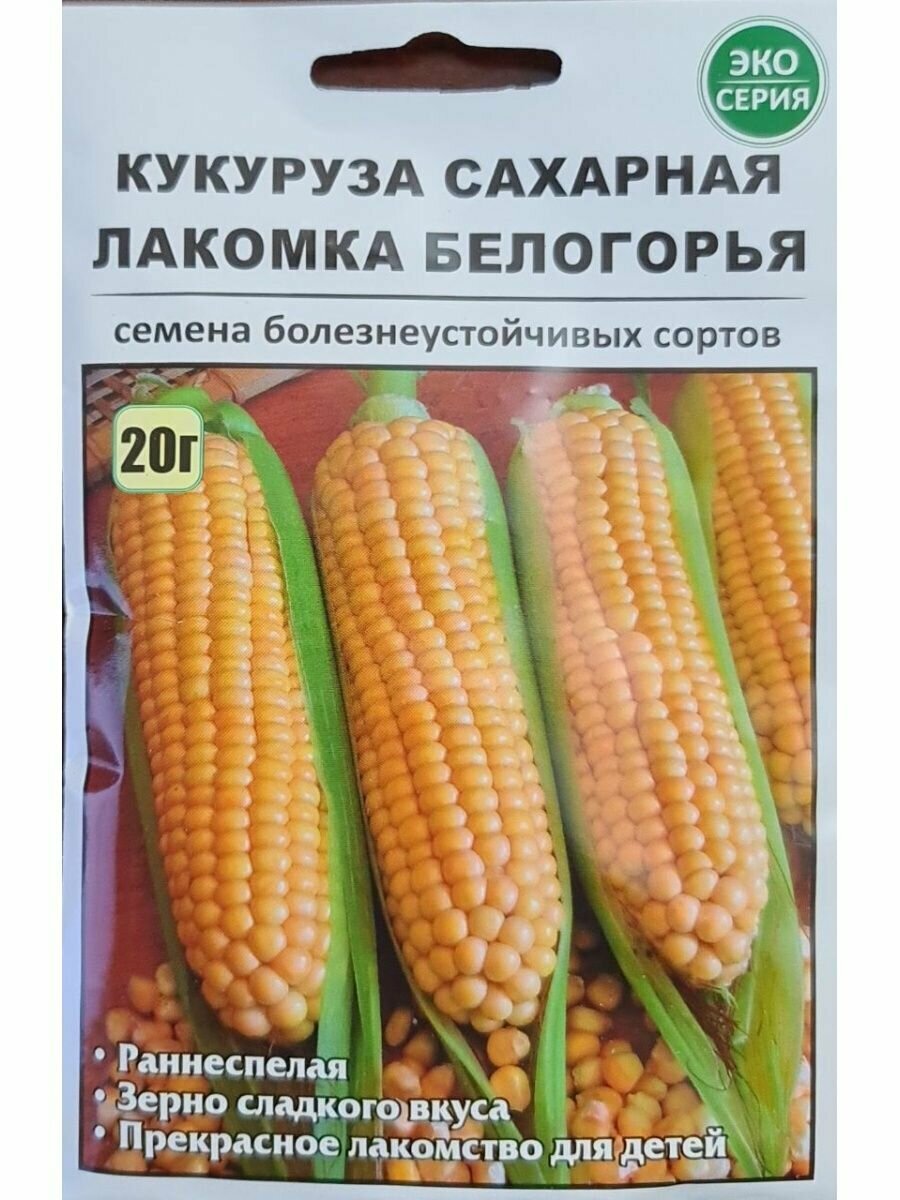 Кукуруза сахарная Лакомка Белогорья