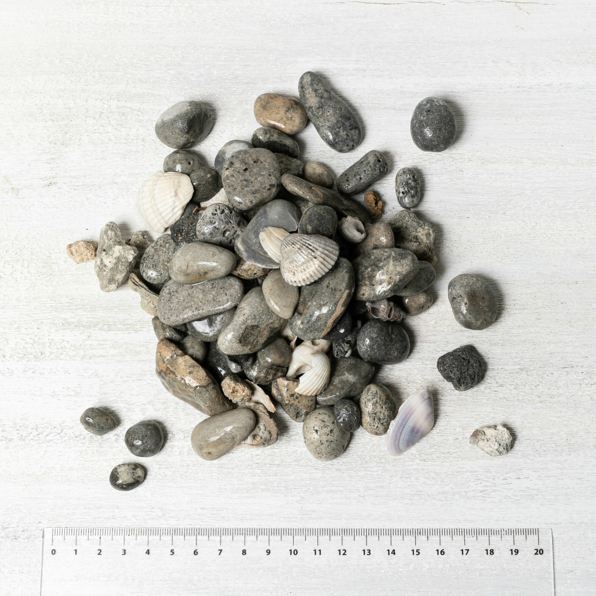 Галька капитан фракция 10-20 мм 10 кг (383)