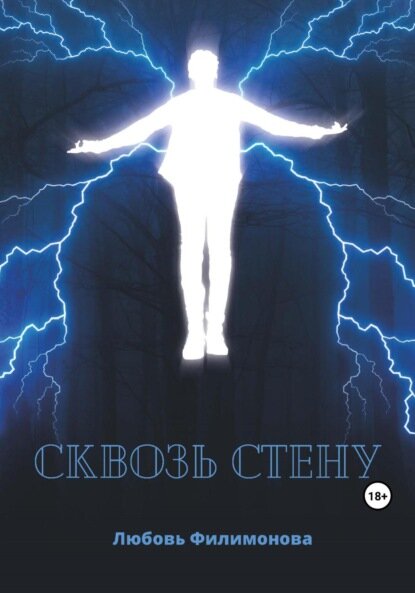 Сквозь стену [Цифровая книга]
