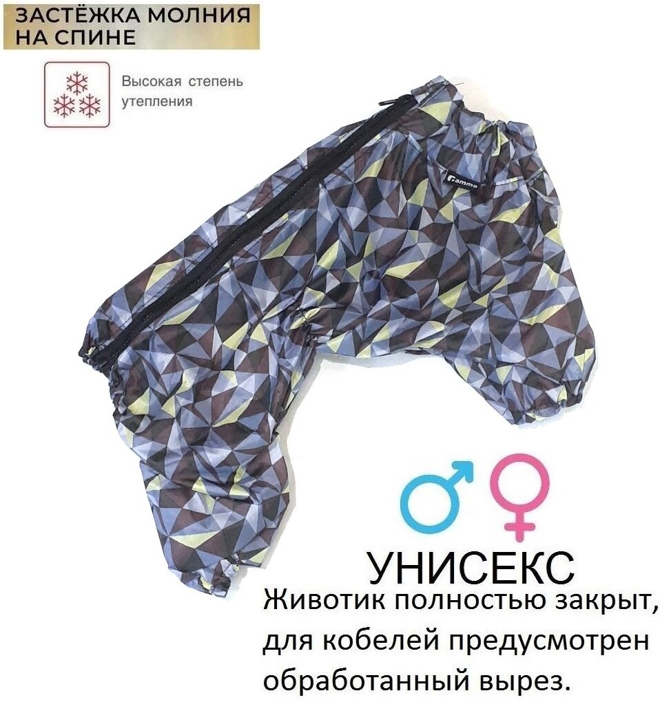 "Лабрадор" комбинезон зимний 58см. (58см )