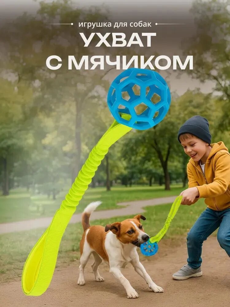 Ухват с мячиком для домашнего использования для игр питомца для дрессировки для собак Игрушка для собак резиновая Игрушка для