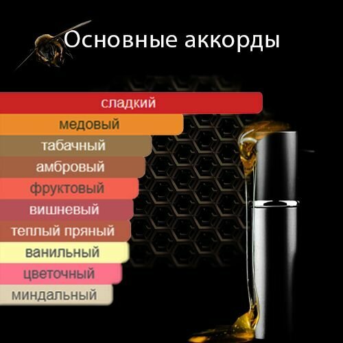 Духи Back to Black, качество - PREMIUM, стойкие, универсальные, 10 мл — фото 1