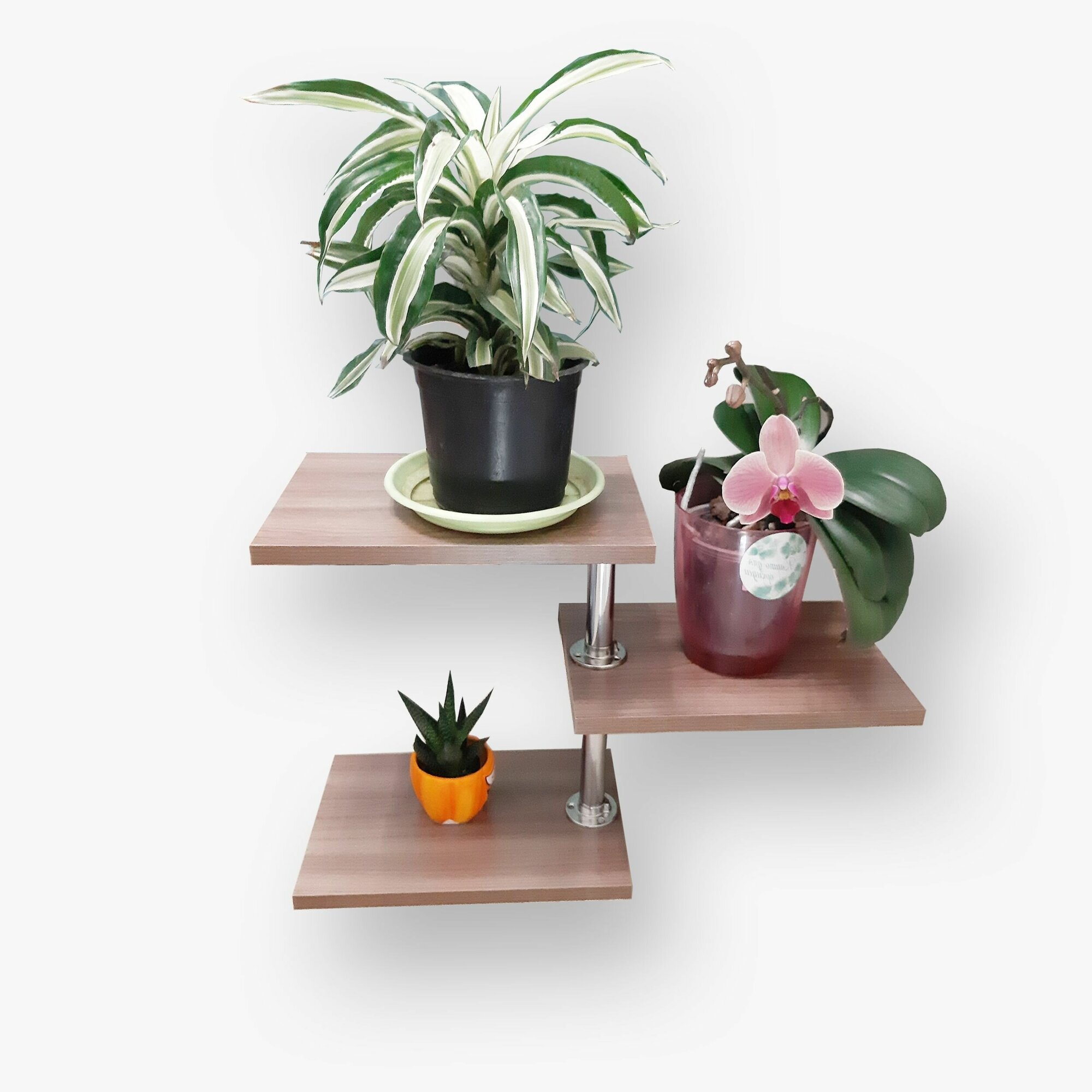 Полка настенная интерьерная серия Т3. Высота 35 см. Полочки 30х20 см. Цвет ясень шимо