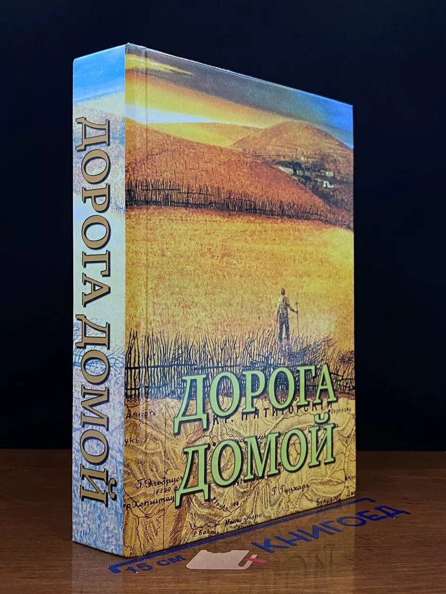 Книга. Дорога домой 2011 (2040770971542)