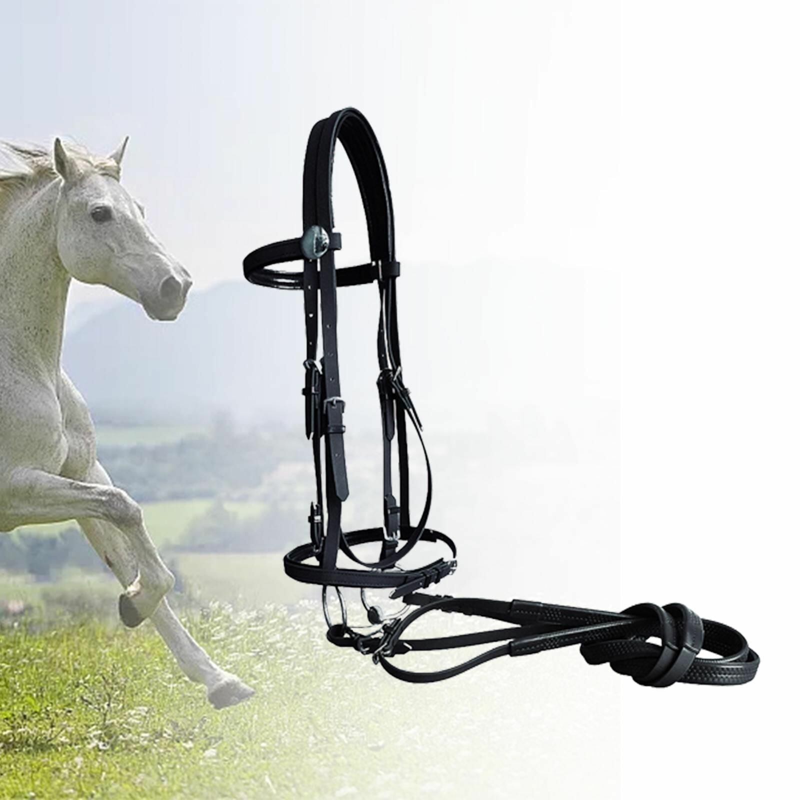 Повод для лошади