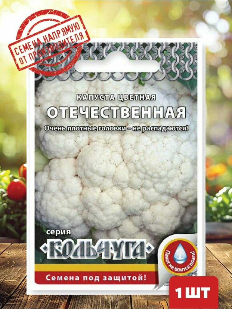 Капуста цветная Отечественная "Кольчуга NEW"