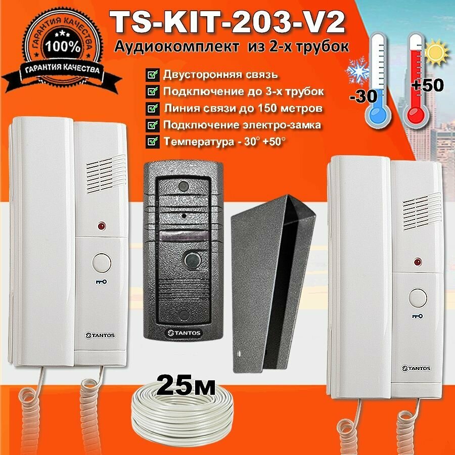 Аудиодомофон для дома TS-KIT-203-V2 с 2-ми трубками