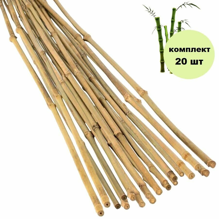 Бамбуковые палки 105 см, опора для цветов и рассады, комплект 20 шт