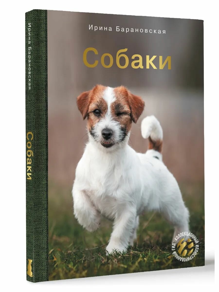 Собаки