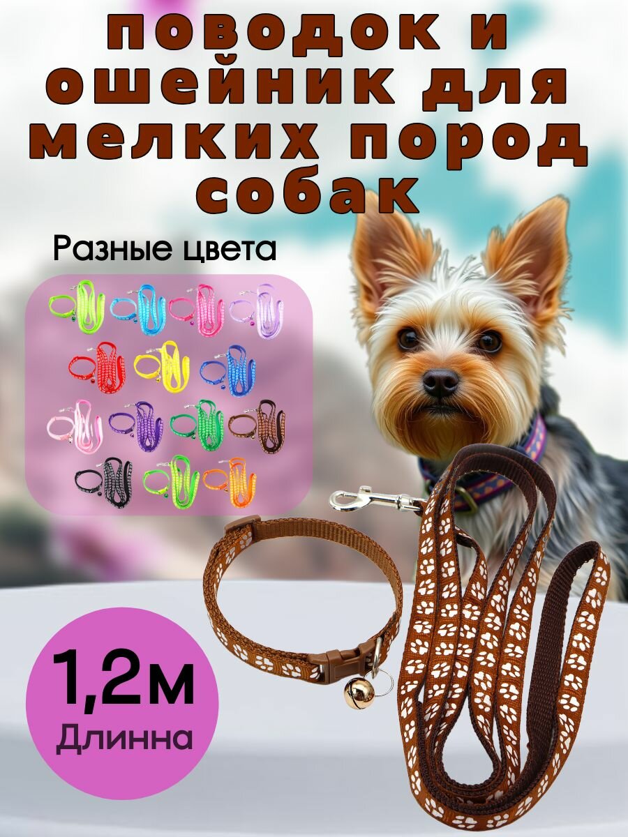 Поводок и ошейник для собак мелких пород щенков и кошек цвета，Подходит для домашних животных весом 2-5 кг