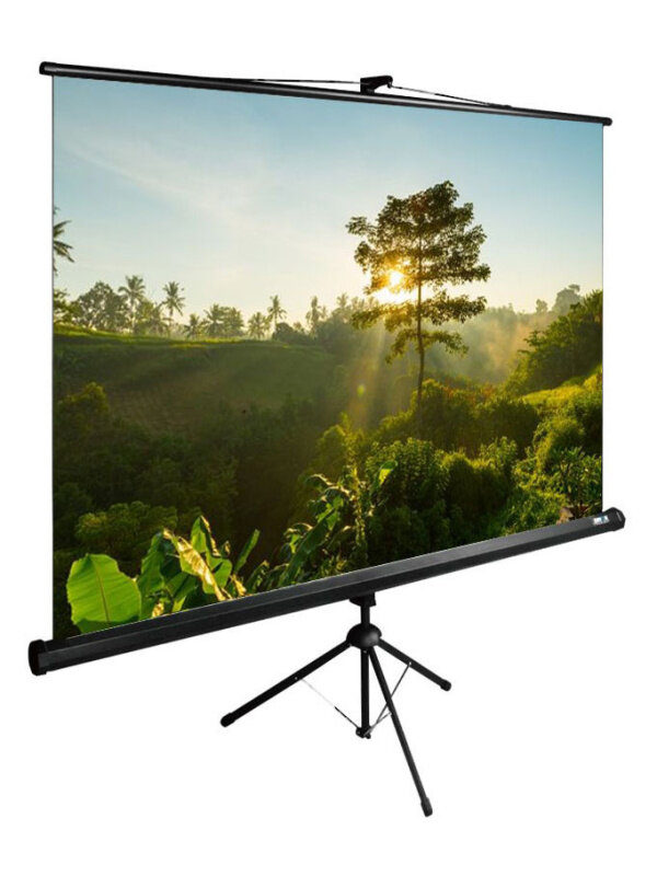 Экран рулонный Cactus TriExpert CS-PSTE-200x200-BK