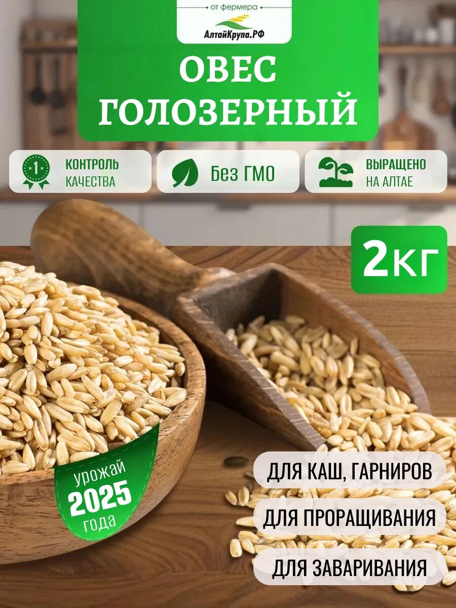 Овес голозерный для проращивания 2 кг
