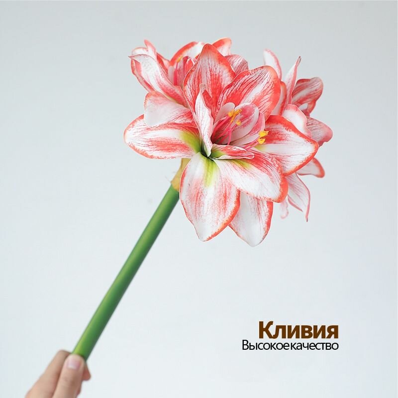 Искусственные цветы, Кливия, 4 стебля, 63cm