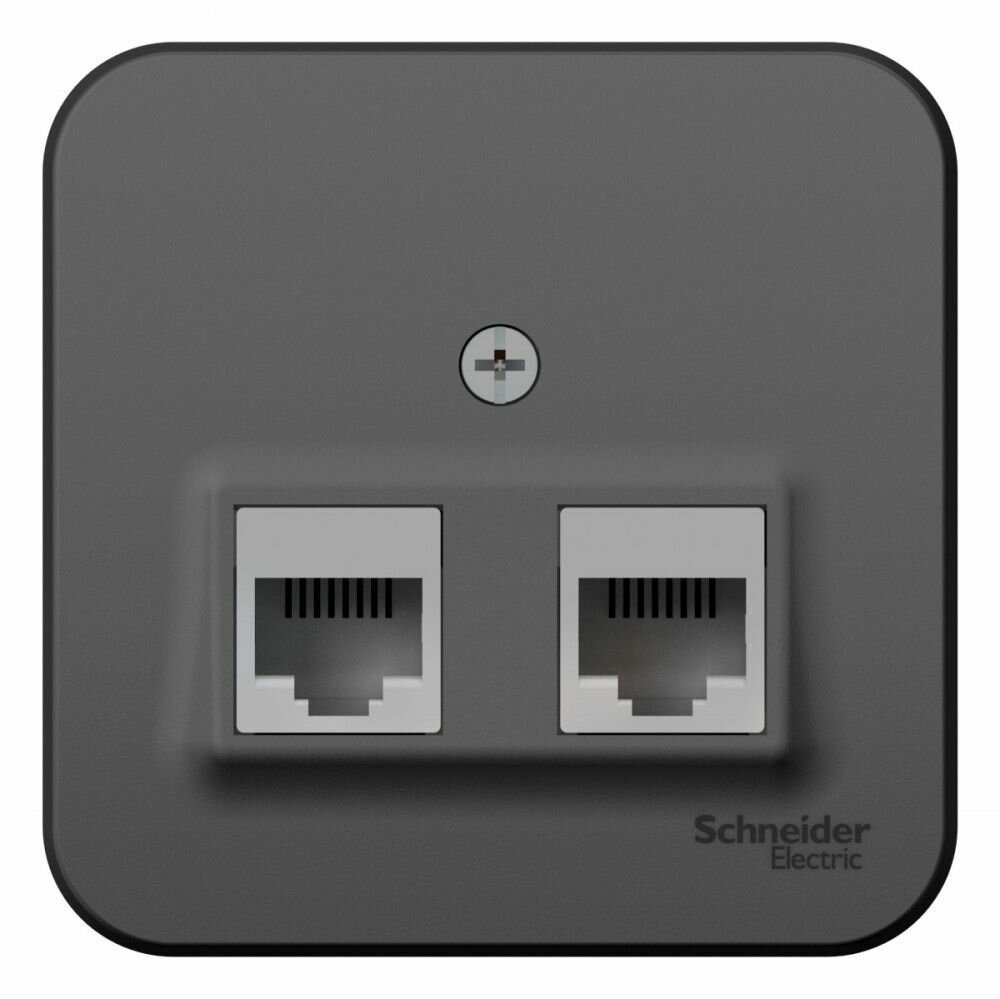 Blanca Розетка компьютерная 2-ая RJ45, кат.5E, О/П изолир. пластина Антрацит BLNIA045456