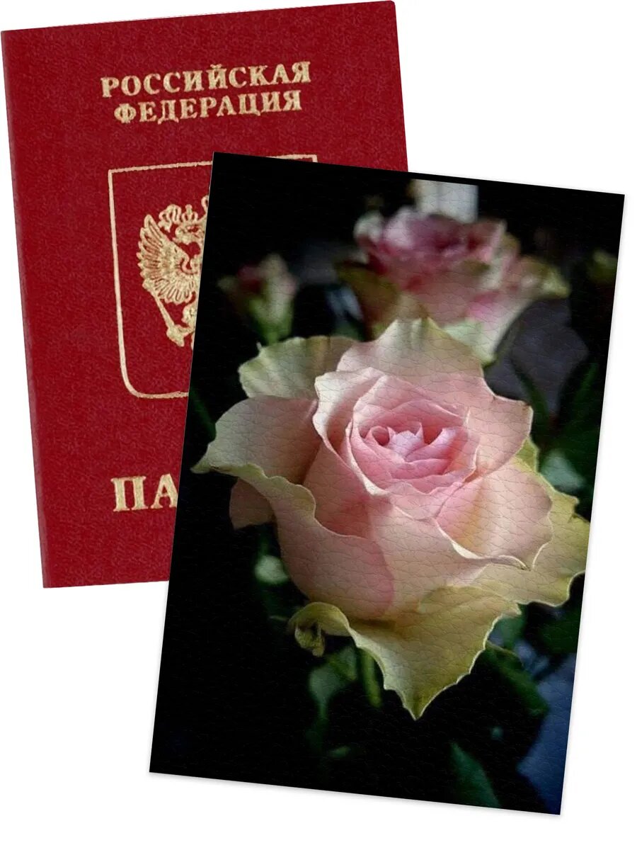 Обложка для паспорта