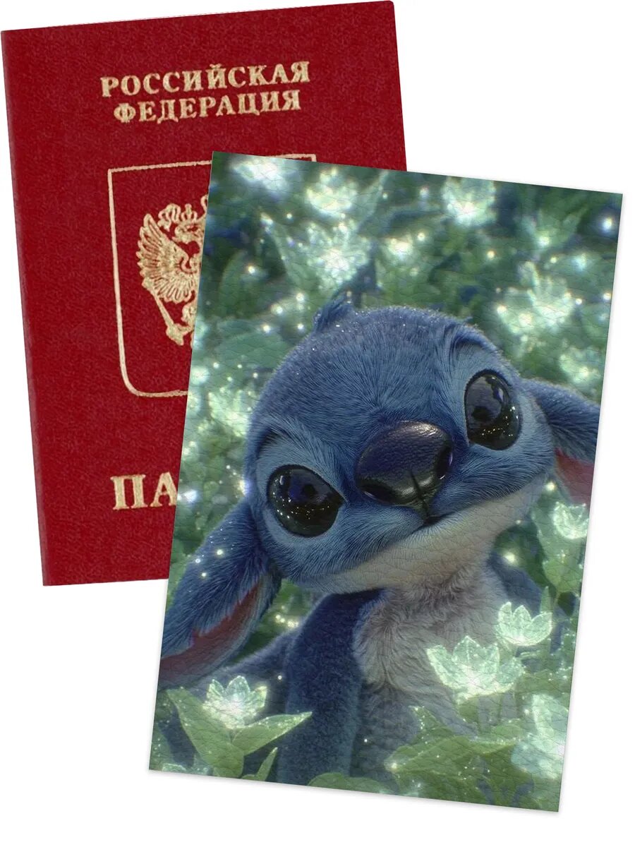 Обложка для паспорта