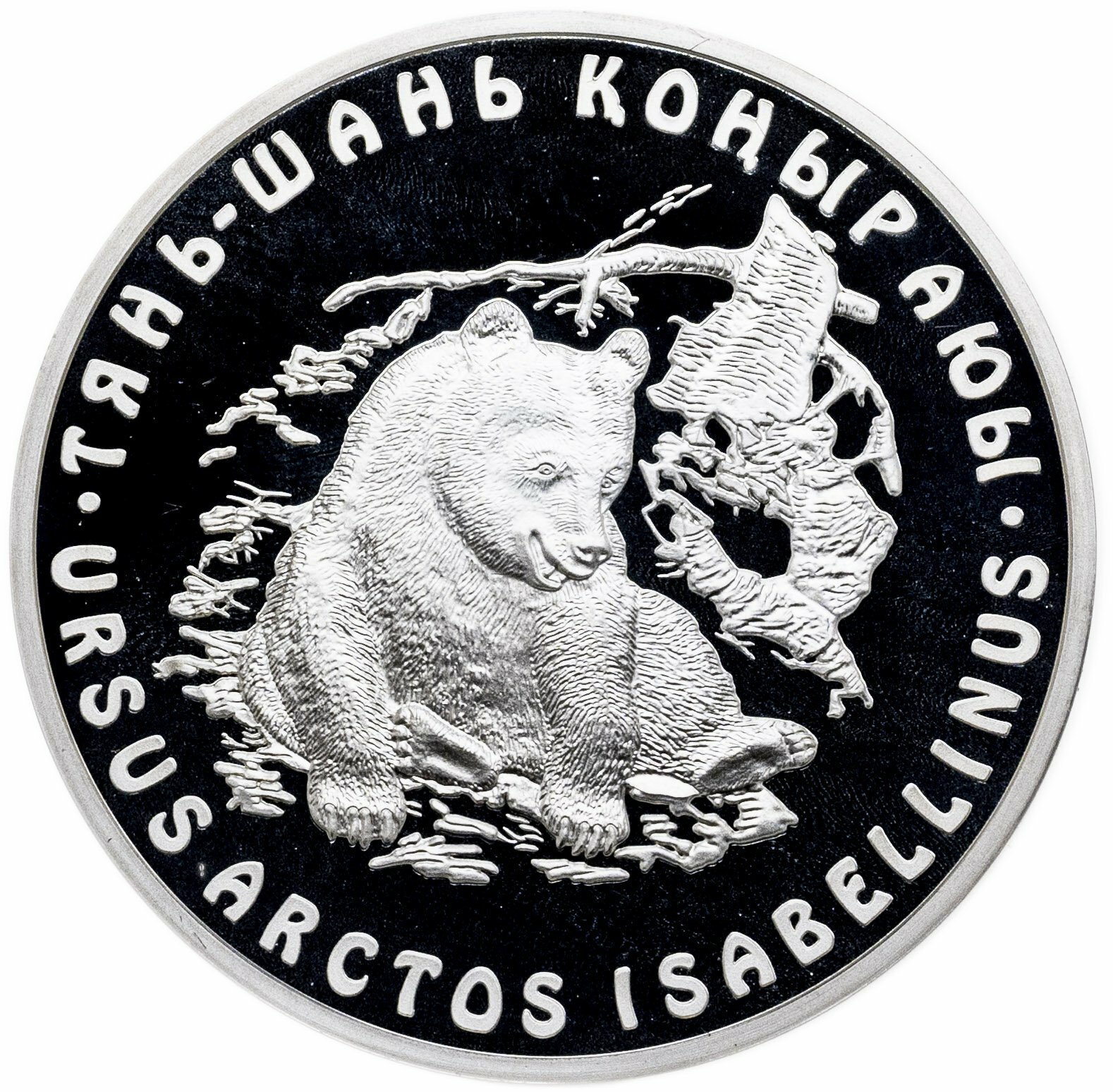 Казахстан 500 тенге 2008 "Красная книга - Тянь-шаньский бурый медведь", в футляре, с сертификатом, Серебро 925, в сохранности Proof