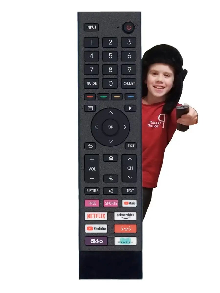 Пульт ERF3E80H для телевизора Hisense