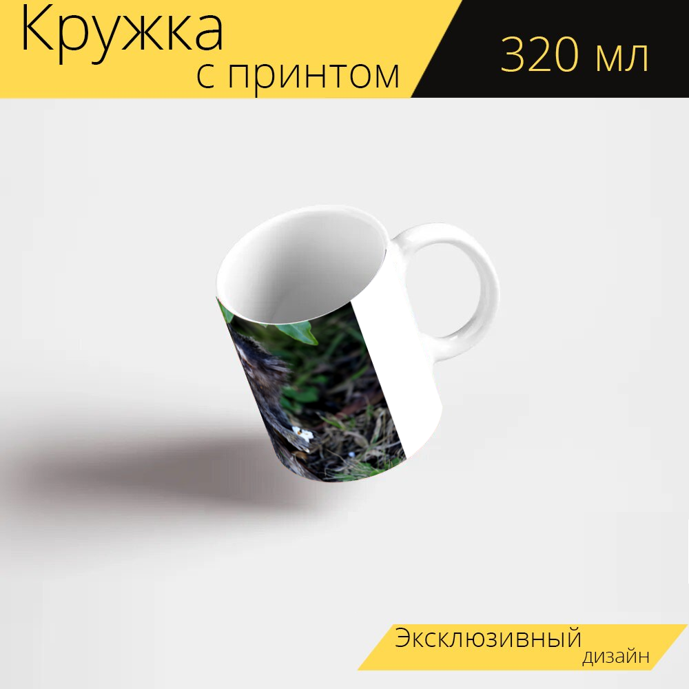 Кружка с рисунком, принтом "Белая хохлатая мартышка, лес, обезьяна" 320 мл.
