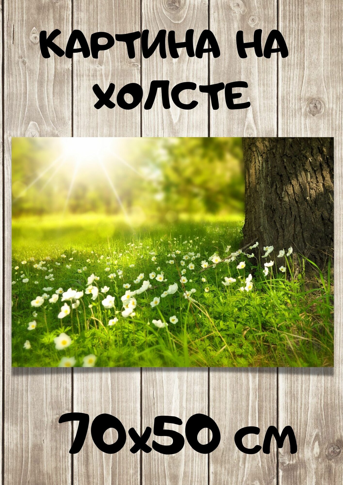 Картина летняя пора и солнце для интерьера на холсте / Полевые цветы и дерево летом