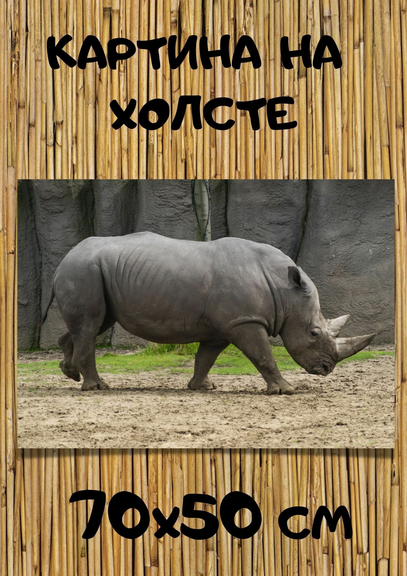 Картина с дикими животными "Боевой носорог" 70х50 см