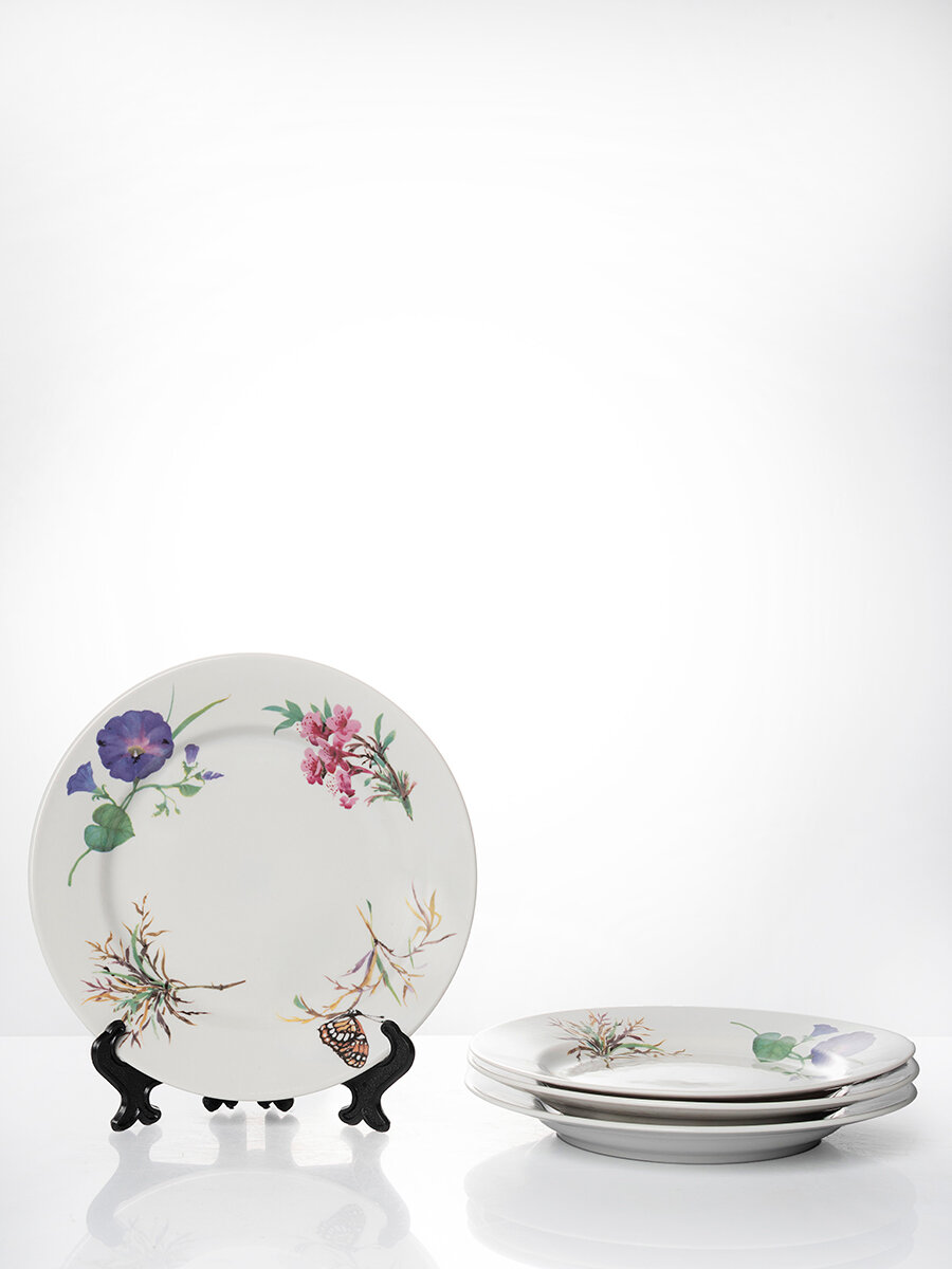 Набор фарфоровых тарелок мелких 200 мм. "Лесные травы" 4 лепка, гладкий край, Дулево 4 шт.