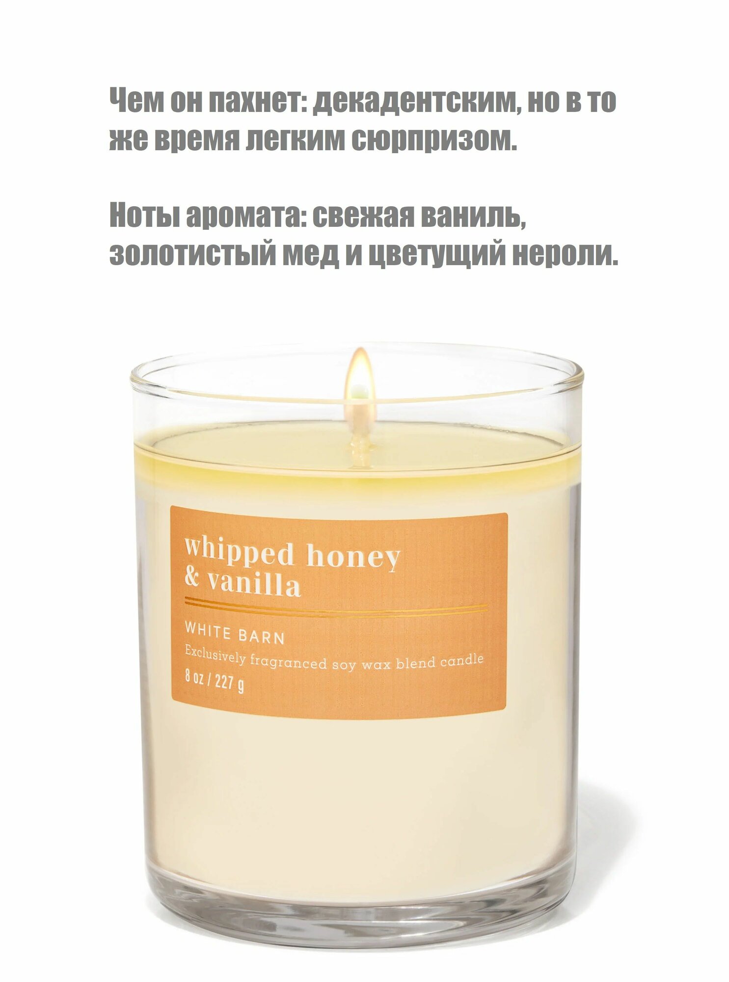 Bath And Body Works ароматическая свеча с 1 фитилем Whipped Honey & Vanilla (227грамм)