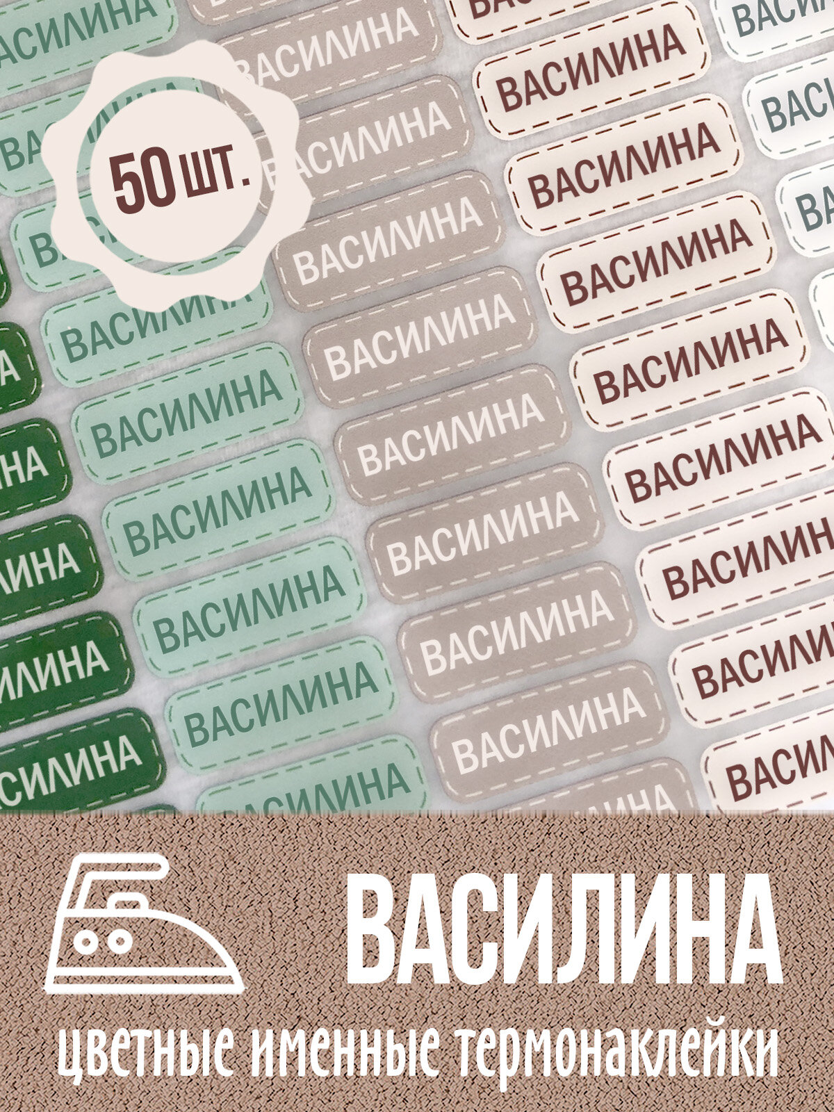 Термонаклейки для одежды с именем Висилина, 50 шт, цвет кофе-мята