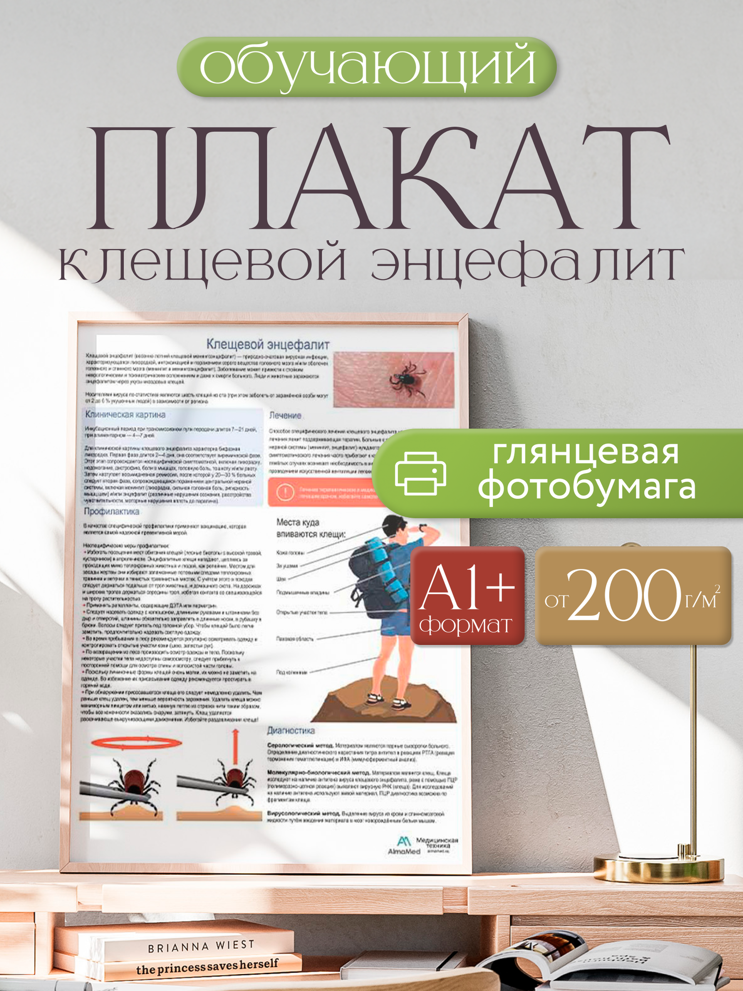 Клещевой энцефалит медицинский плакат глянцевая фотобумага от 200 г/кв. м, размер A1+
