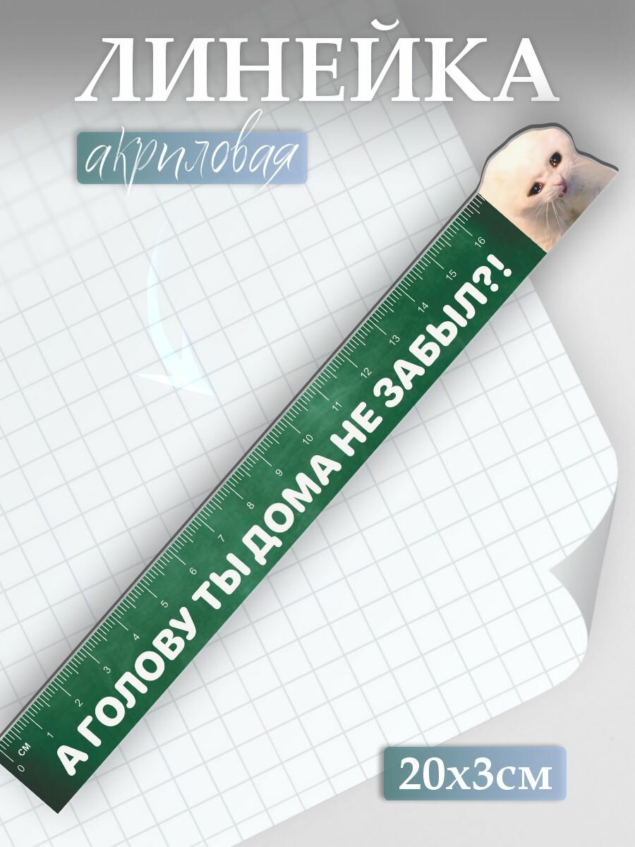 Линейка школьная Кот - мем