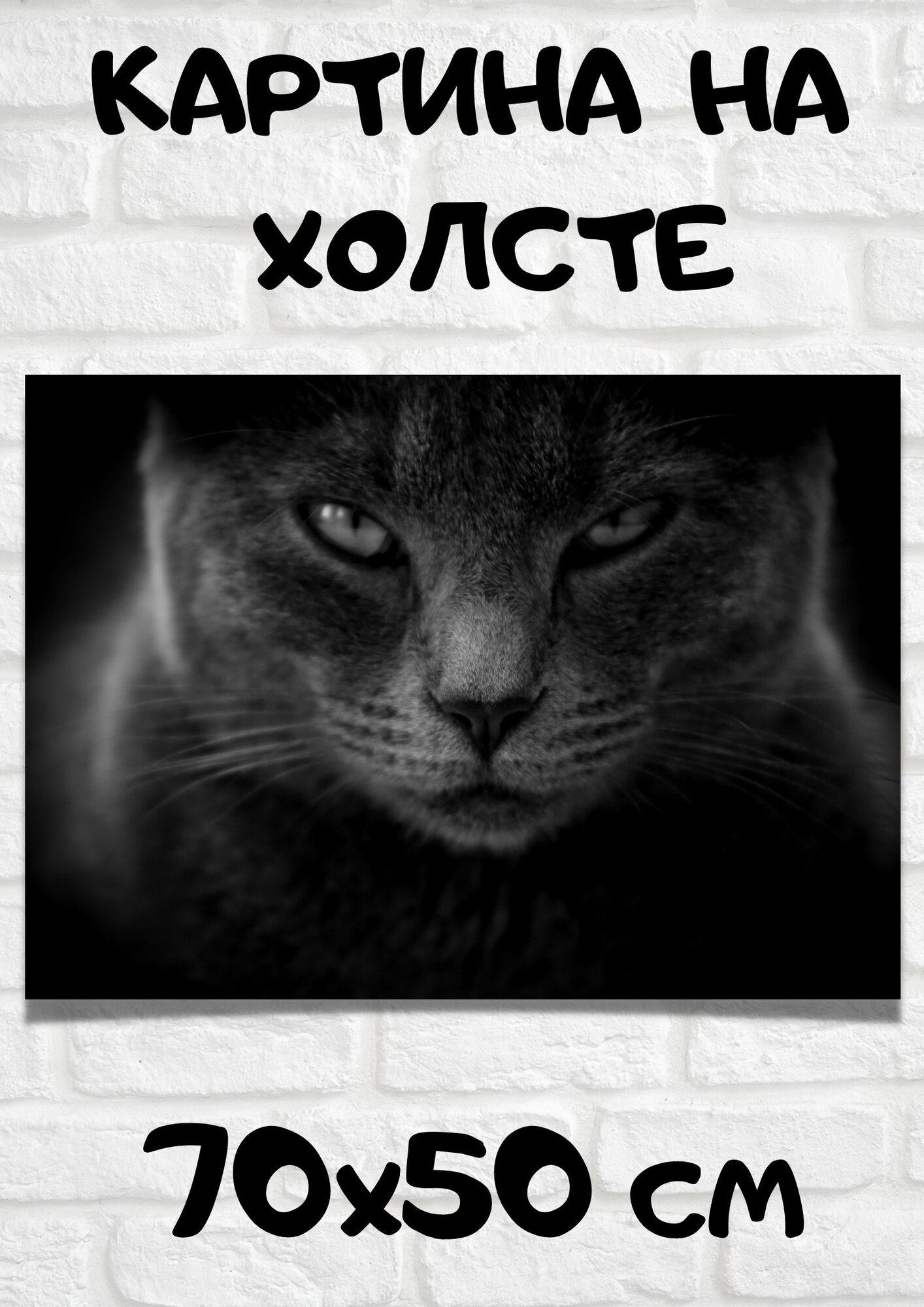 Картина Кот глаза взгляд / Фотокартина с глазами кошки