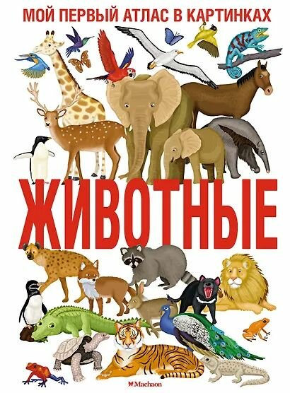 Барсотти Иллария: Животные. Мой первый атлас в картинках