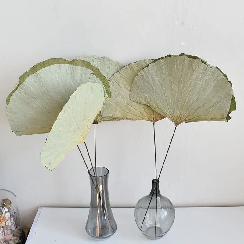 Натуральные листья лотоса для декора