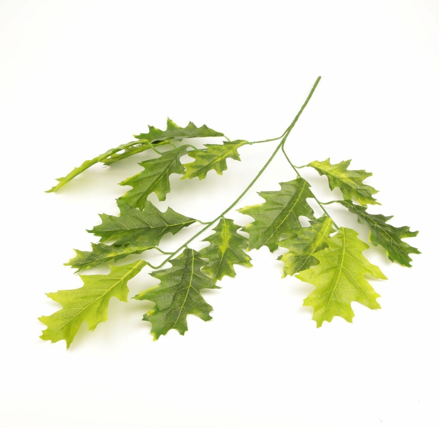 Ветка, шишка декоративная