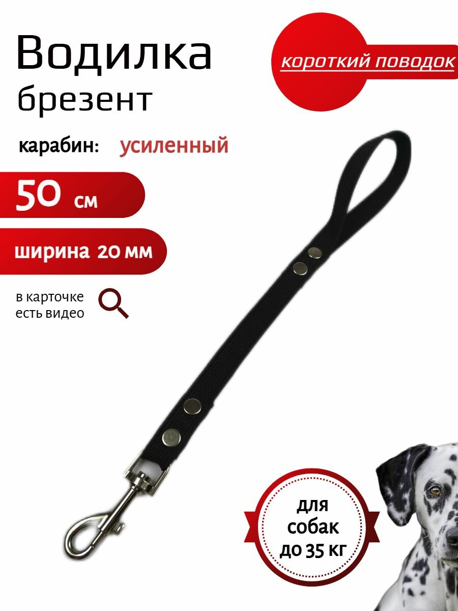 Мини-поводок Хвостатыч для собак с усиленным карабином брезент 50 см х 20 мм (черный)
